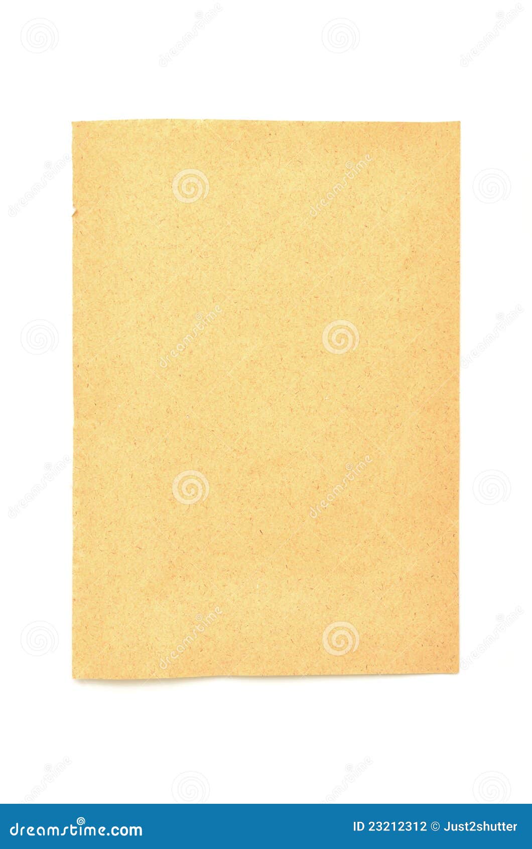 Palm paper stock photo. Image of frame, paper, empty - 23212312