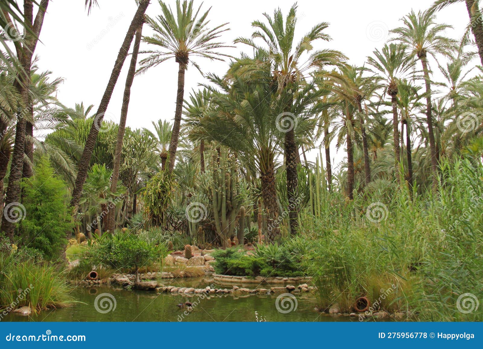 Palm Park in Elche, Alicante, Spain. August of 2021 Editorial Stock ...