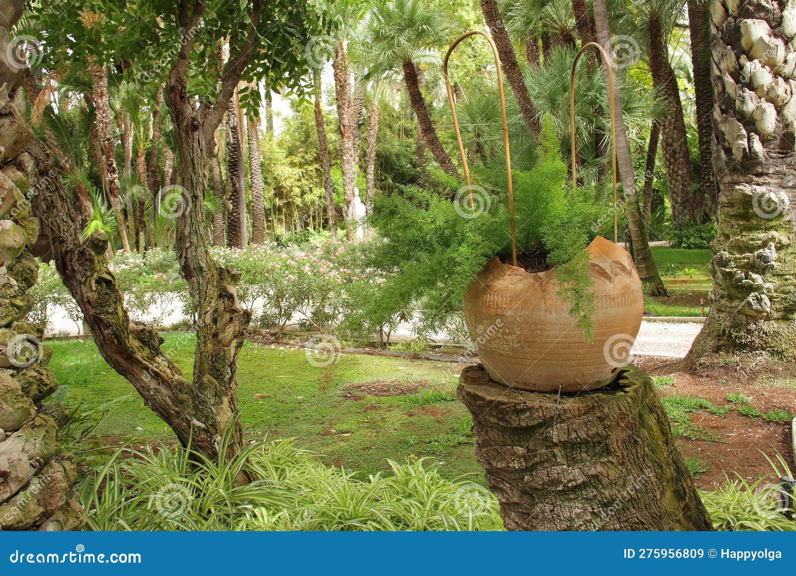 Palm Park in Elche, Alicante, Spain. August of 2021 Editorial Stock ...