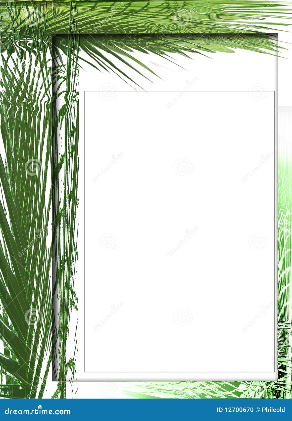 Palm photo frame stock illustration. Illustration of decoration - 12700670
