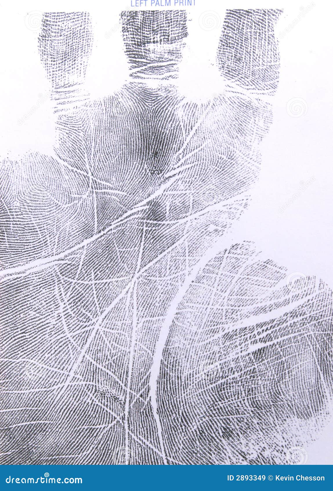 Palm print. stock image. Image of fingerprints, police - 2893349