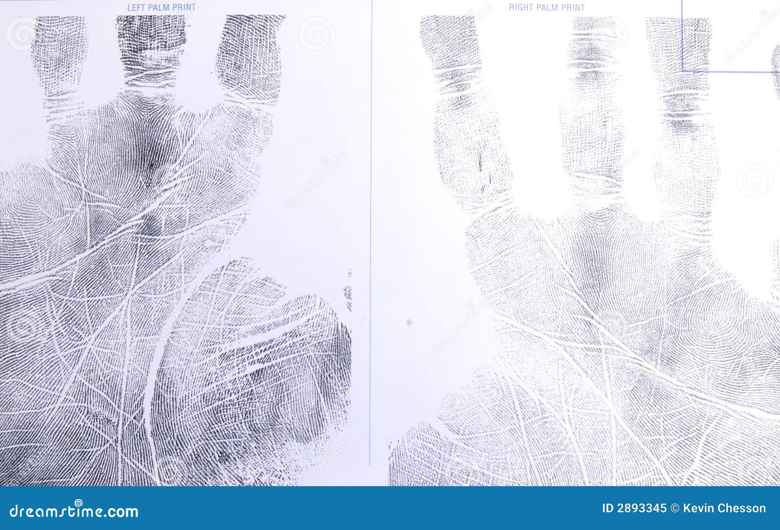 Palm prints. stock image. Image of palms, criminal, unique - 2893345