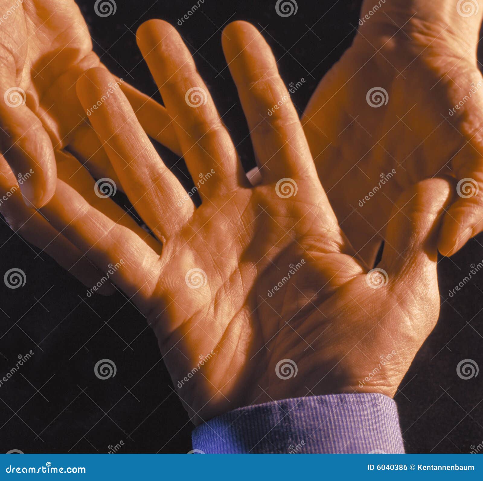 Palm reader stock photo. Image of medical, medicine, business - 6040386