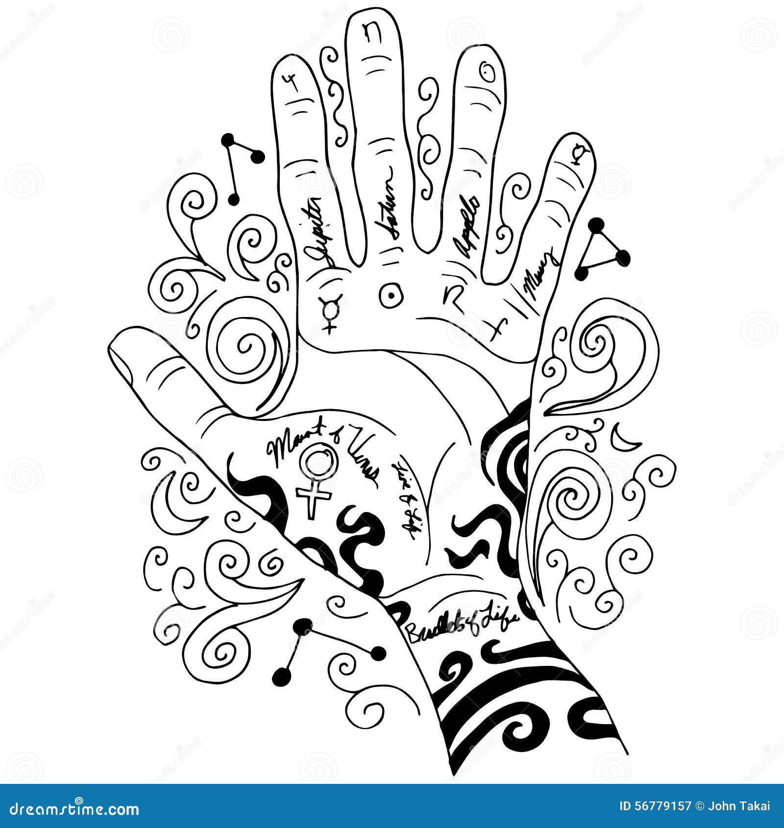 Palm Reading Hand Icon stock vector. Illustration of reading - 56779157