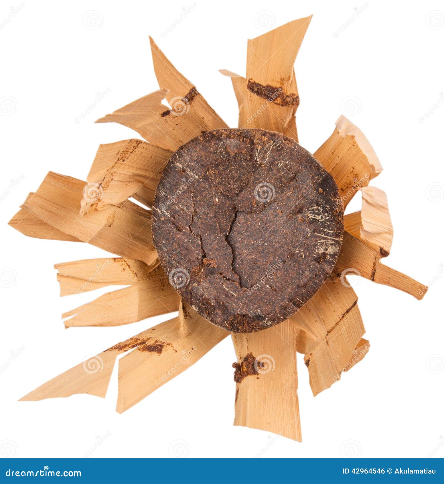 Palm Sap Sugar with Leave Wrapper I Stock Photo - Image of palm ...