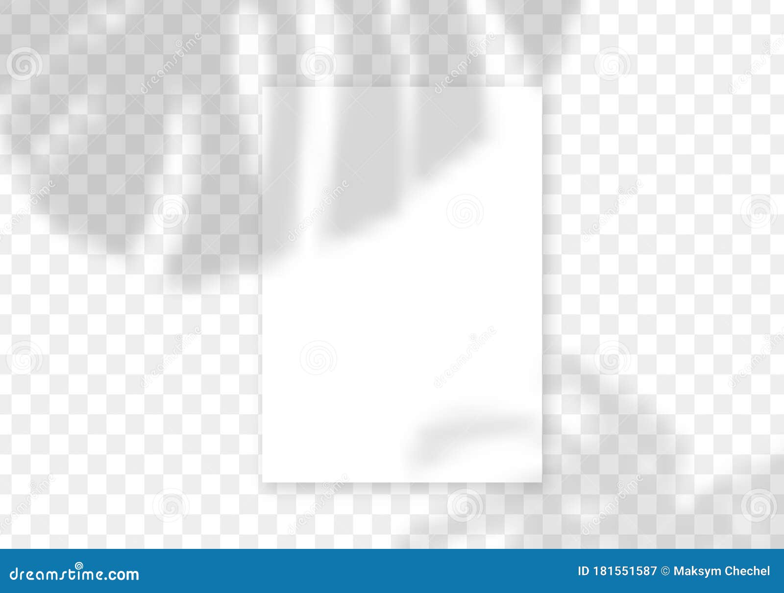 Palm Shadow Overlay. Vector Transparent Palm Leaves Overlay Stock ...