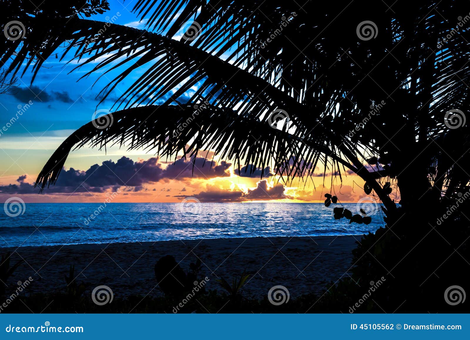 Palm shadow in sunset stock photo. Image of rest, paradise - 45105562