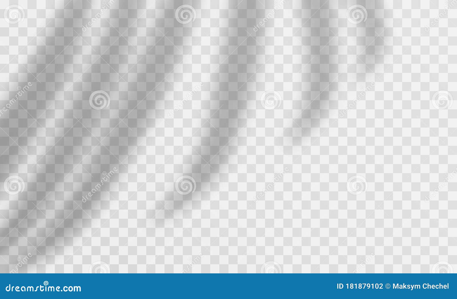 Palm Shadow Transparent Overlay. Vector Palm Leaves Overlay Stock ...