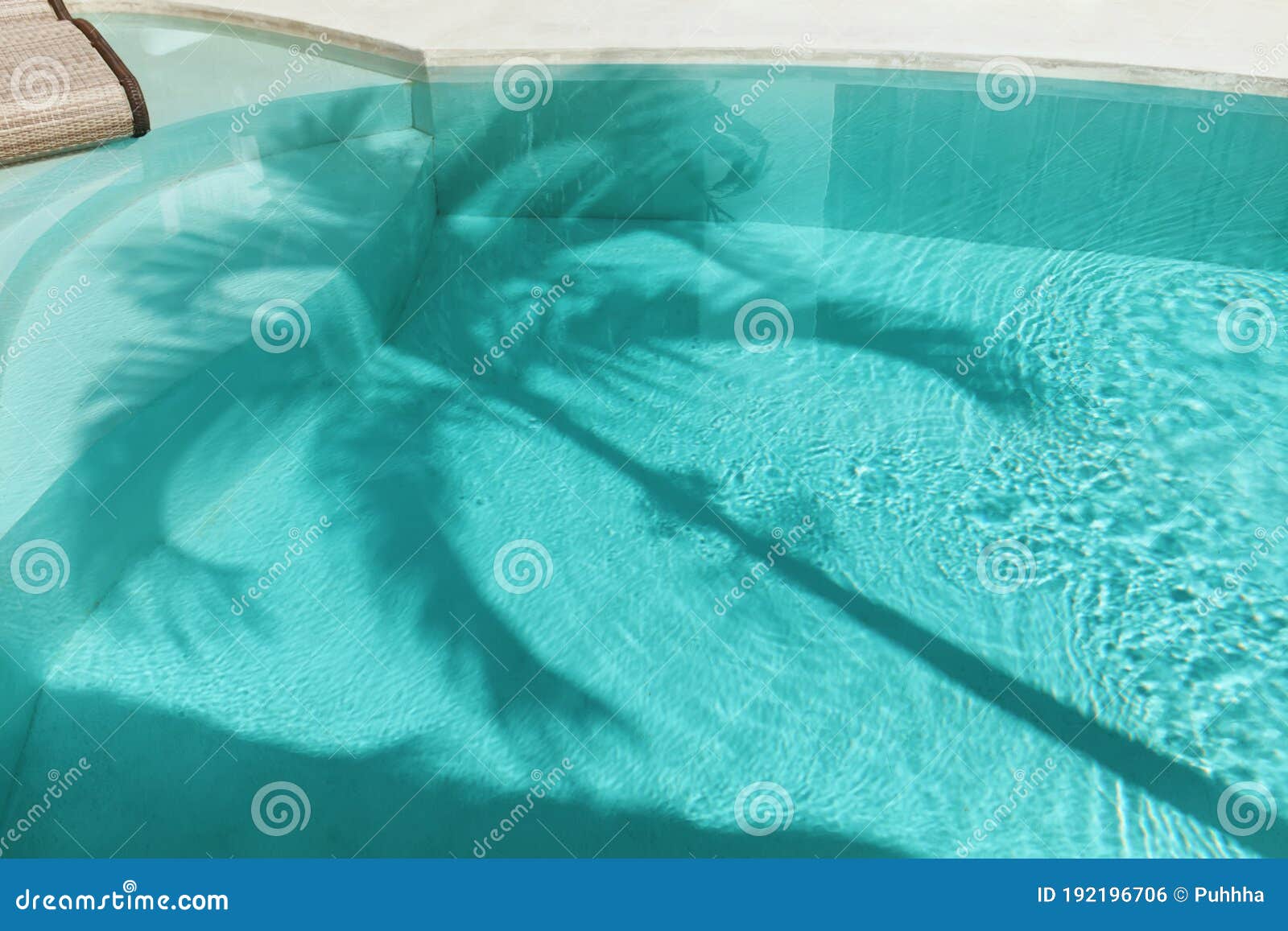 Palm Shadow on Water Surface. Swimming Pool with Silhouette of Tropical ...