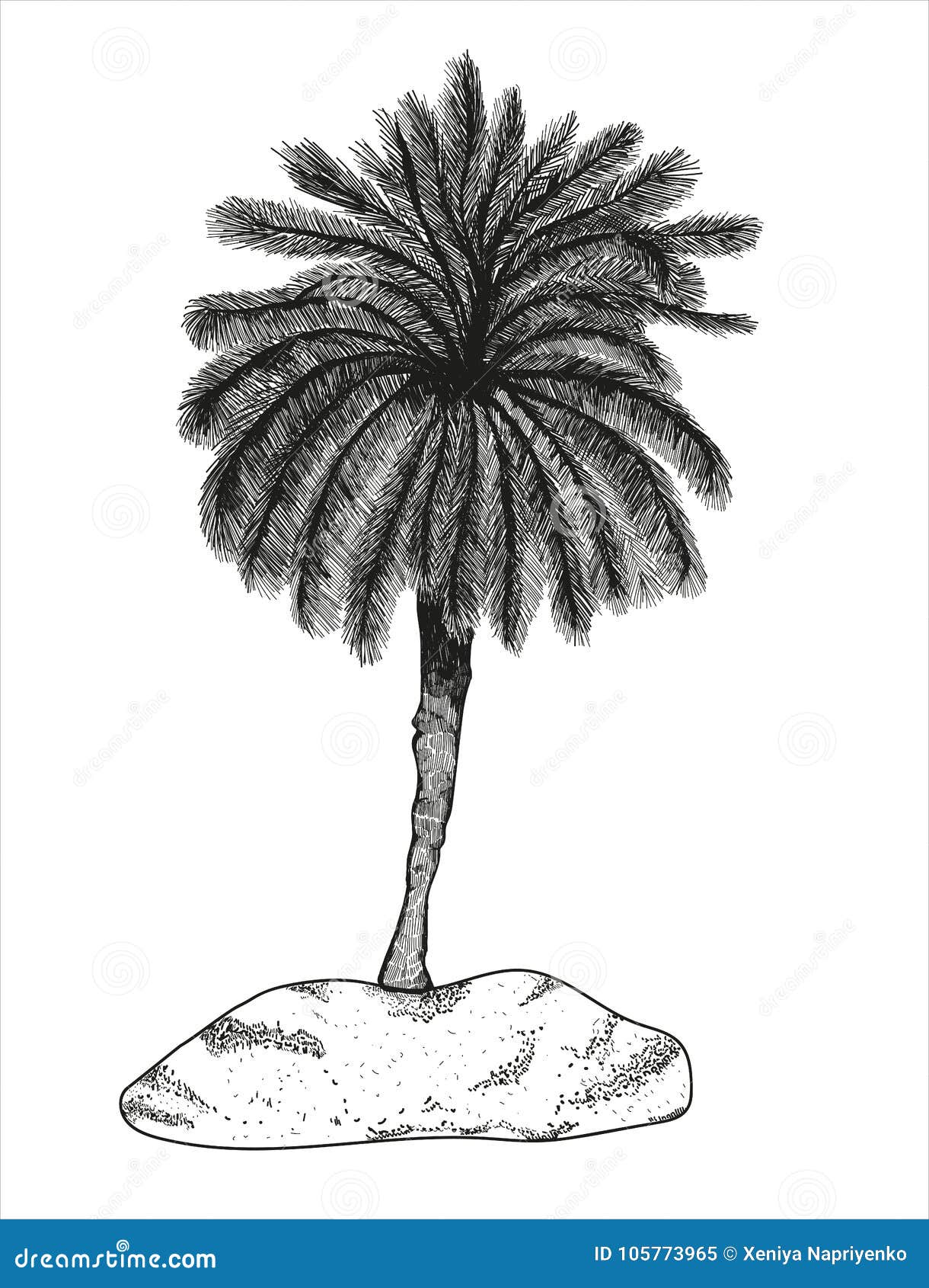 Palm Sketch. Hand Drawn Vector Illustration. Stock Vector ...