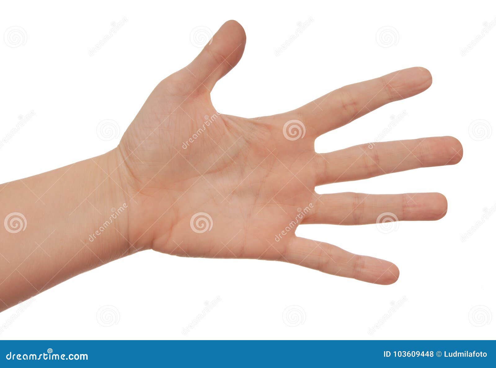 Palm with spread fingers stock photo. Image of feminine - 103609448