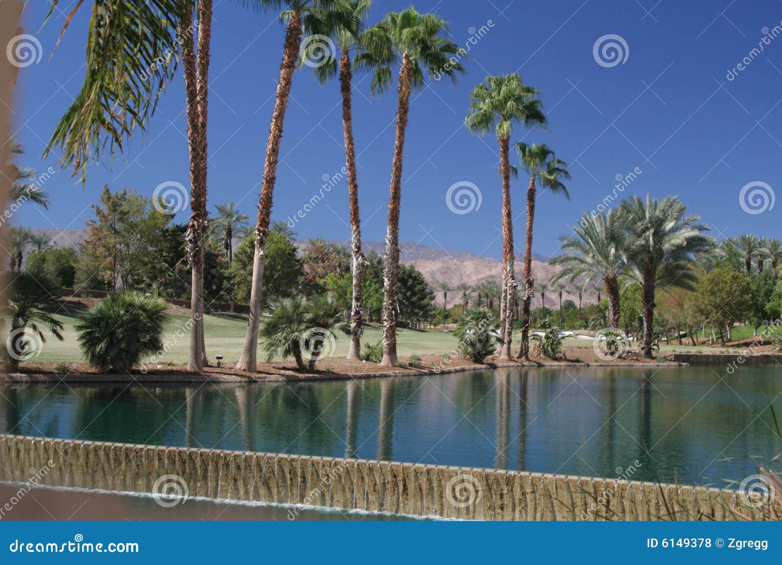Palm Spring foto de archivo. Imagen de recurso, lago, resortes - 6149378