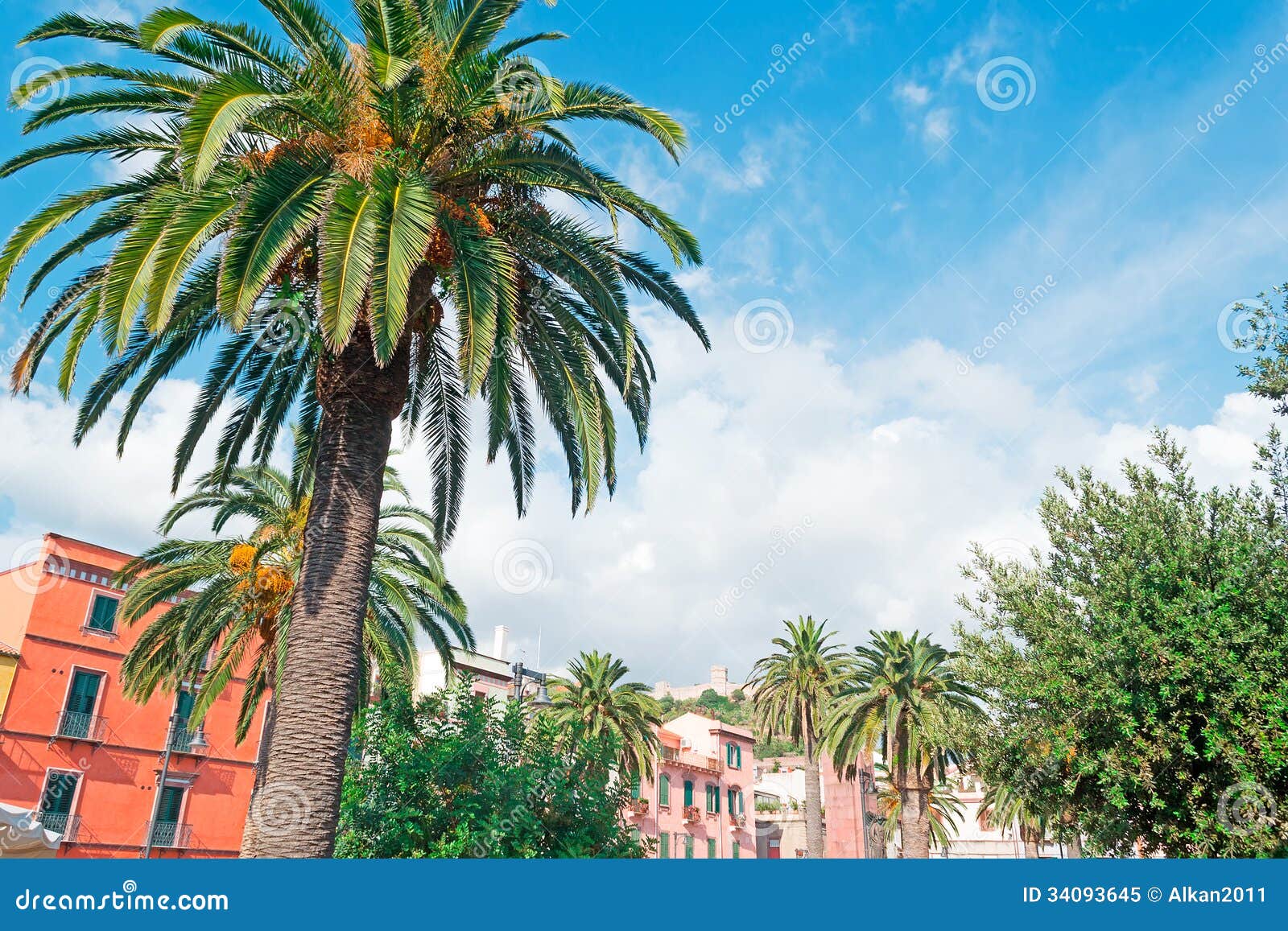 Palm in the square stock image. Image of high, cloud - 34093645