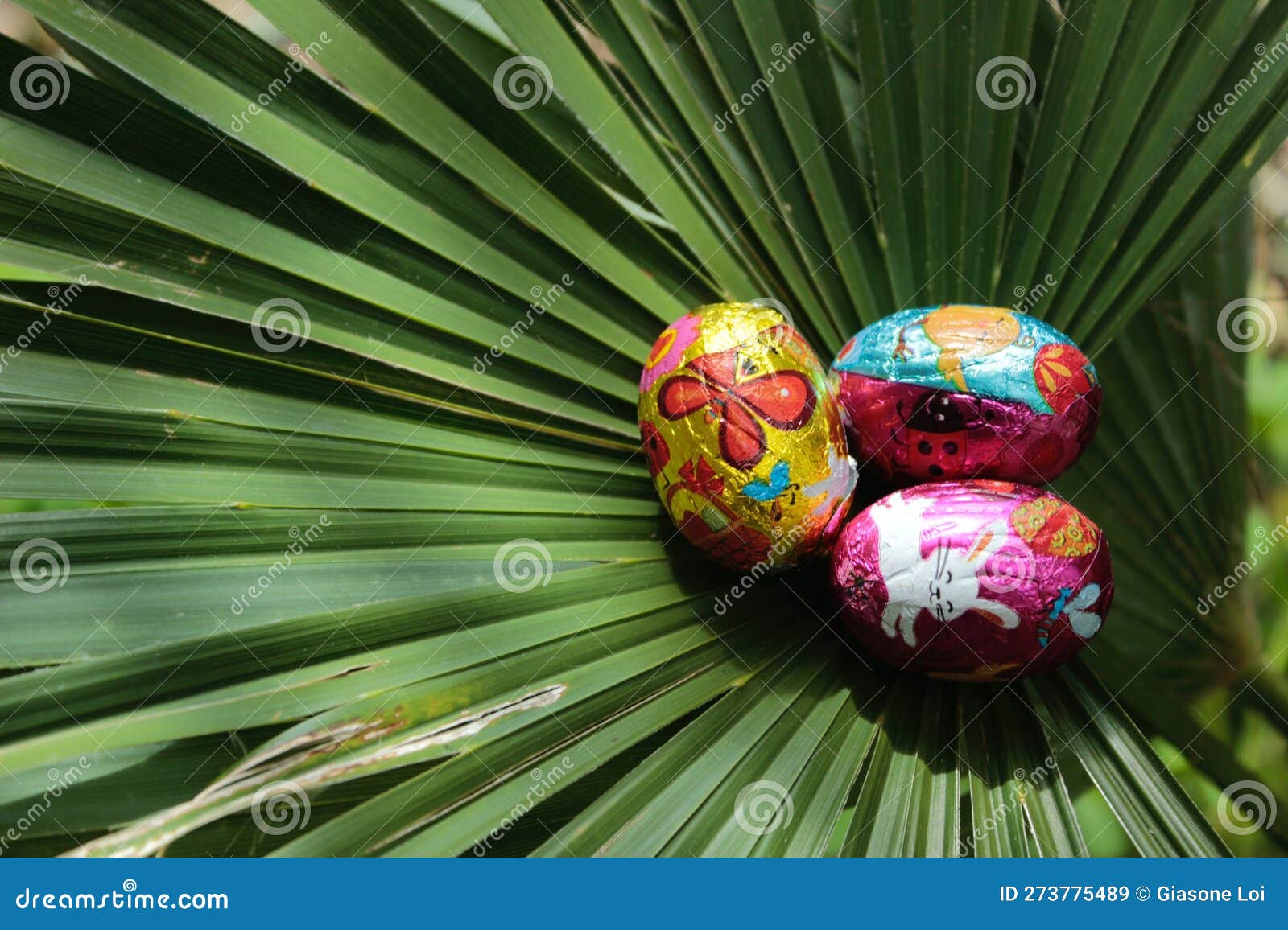 Palm Sunday celebration. stock image. Image of jesus - 273775489