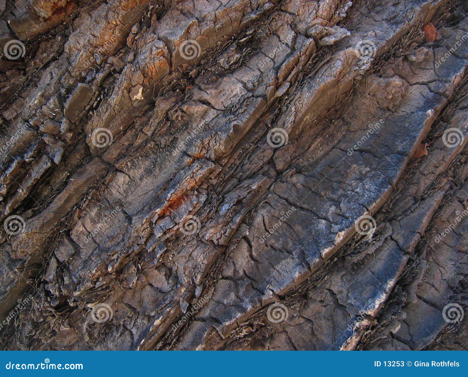 Palm texture stock image. Image of overlay, palm, trunk - 13253