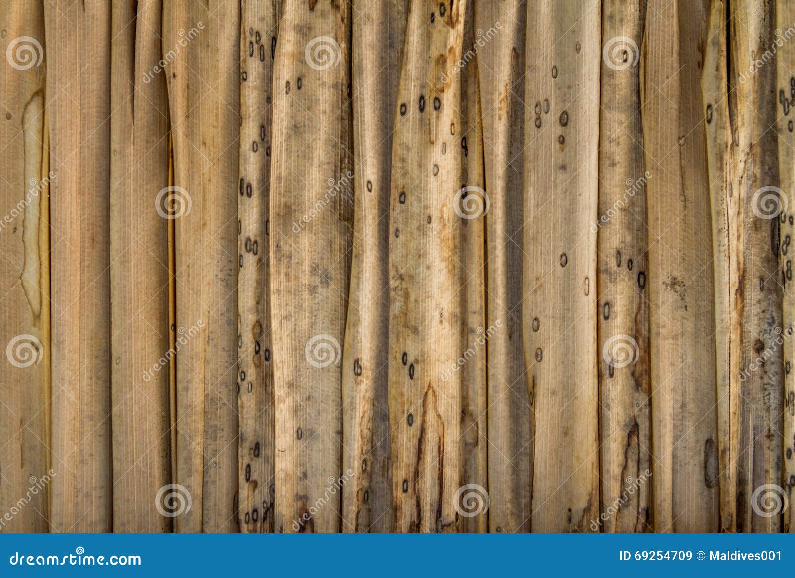 Palm Thatch Roof Texture for Background Stock Image - Image of ...