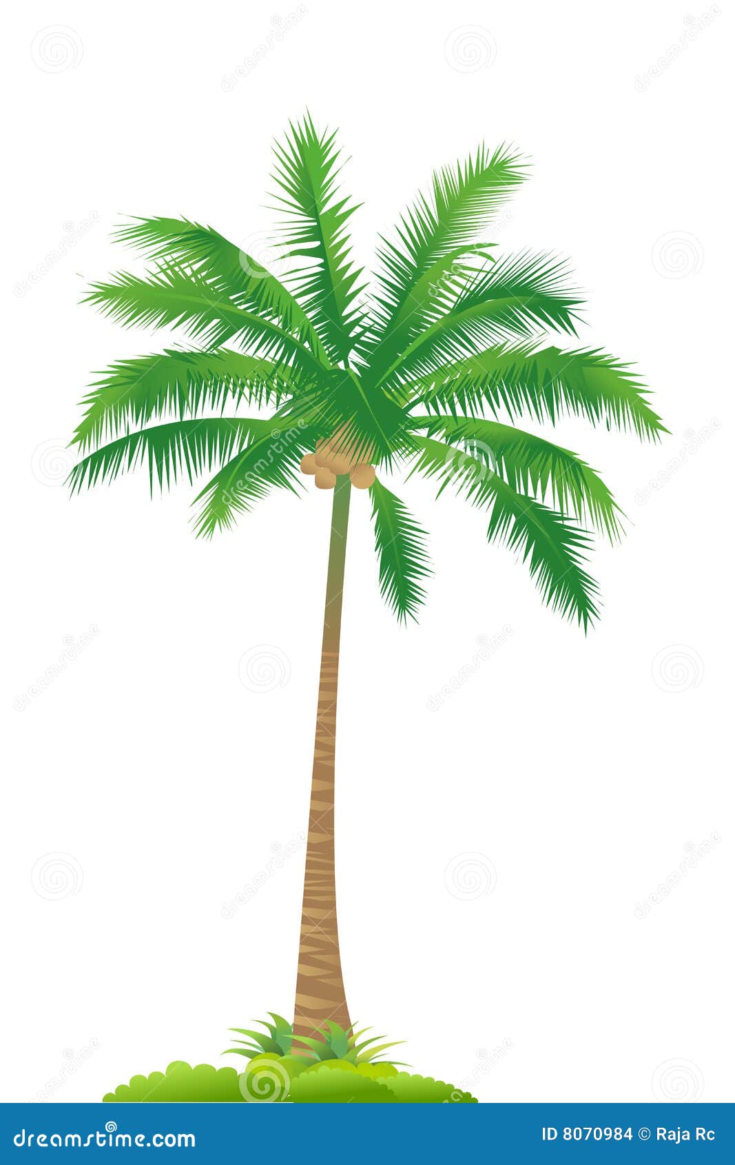 Palm Tree Silhouette. Shadow Palm Tree, Isolated On Transparent ...