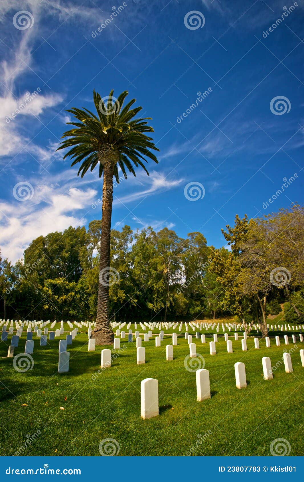 Palm Tree Above the National Cemetery Stock Image - Image of burial ...