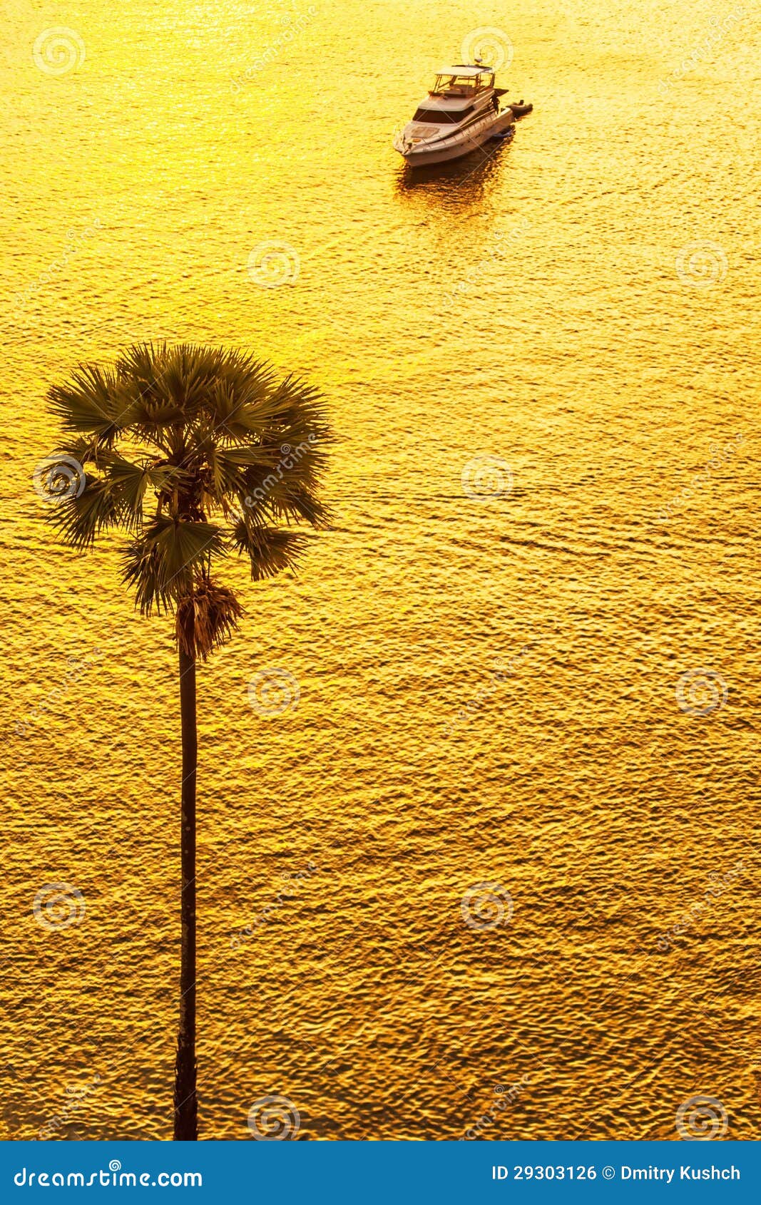 Palm Tree Against Boat in Sunset Light Stock Photo - Image of beach ...