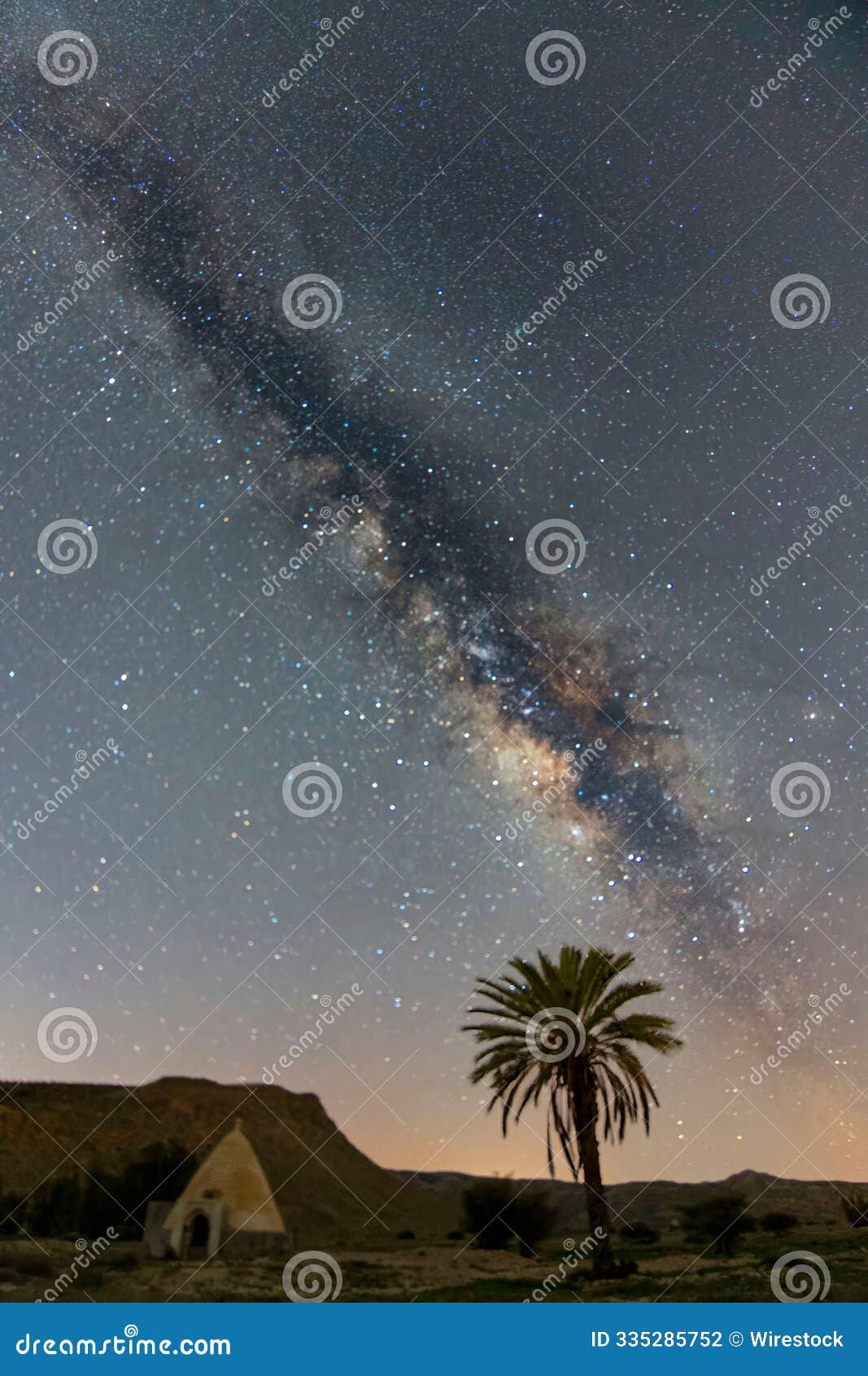 Palm Tree Against the Milky Way Galaxy Stock Photo - Image of universe ...