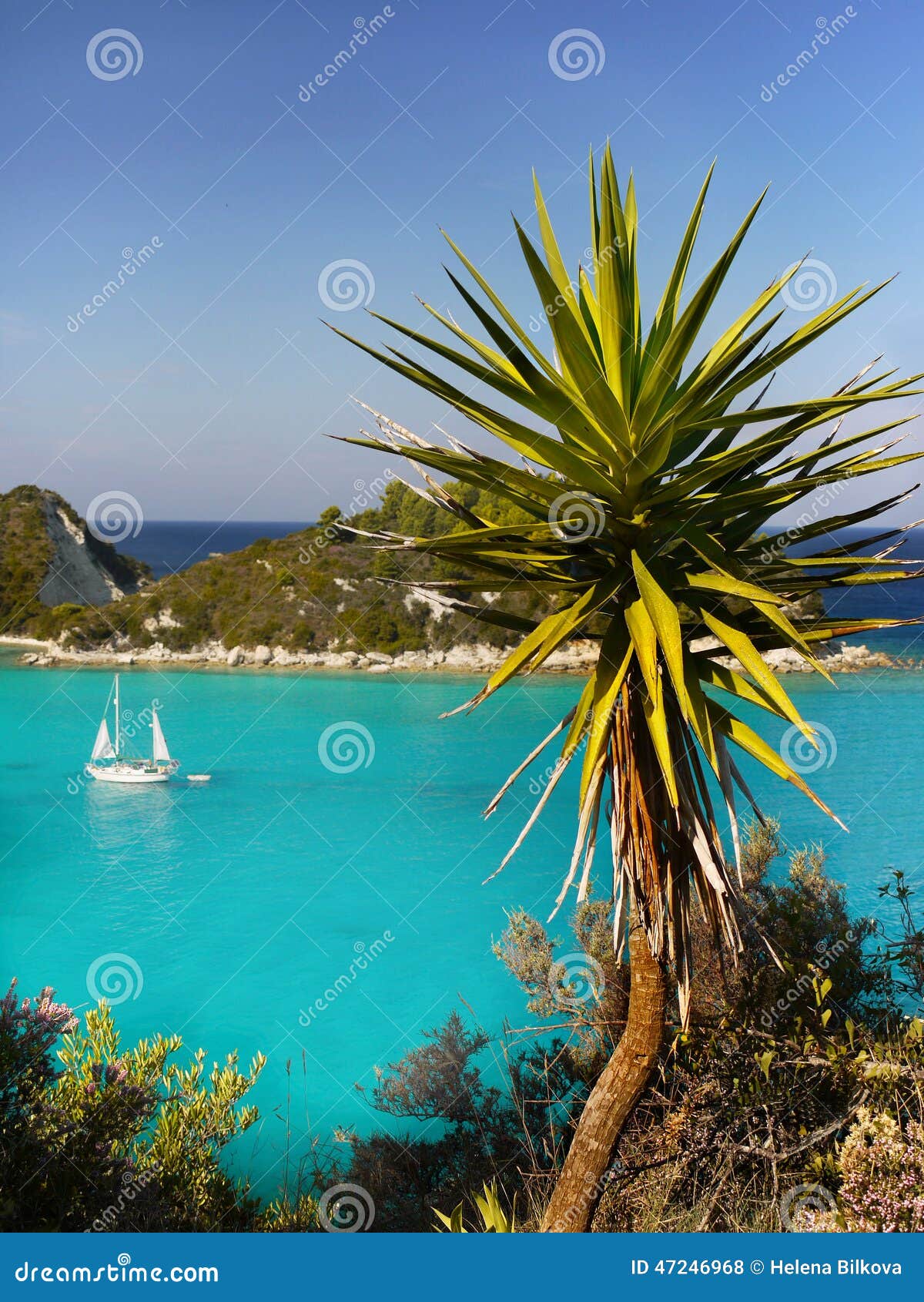 Palm Tree, Azure Tropical Lagoon Stock Photo - Image of sailing, tree ...