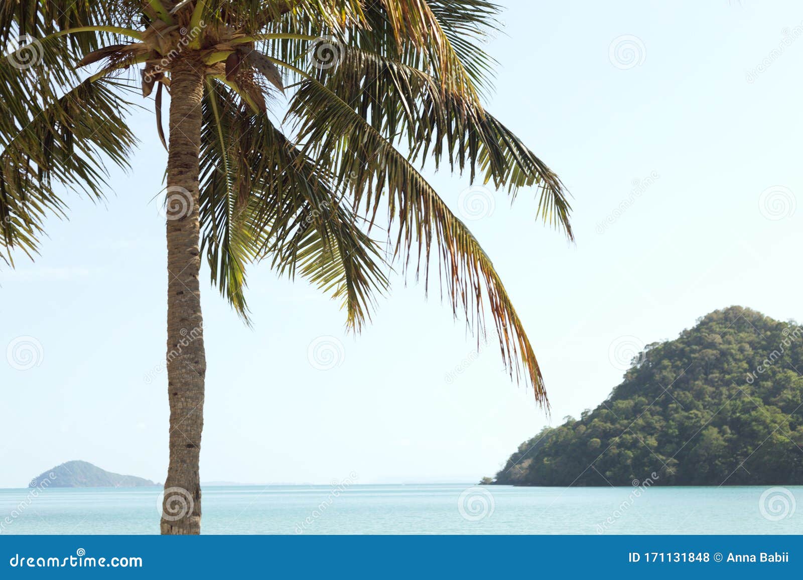 Palm Tree on Beach with Boat. Stock Photo - Image of island, paradise ...