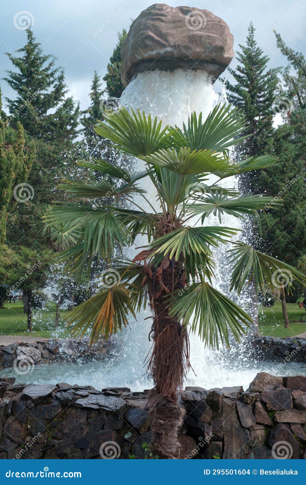 Palm Tree Behind a Fountain Stock Photo - Image of drop, stone: 295501604