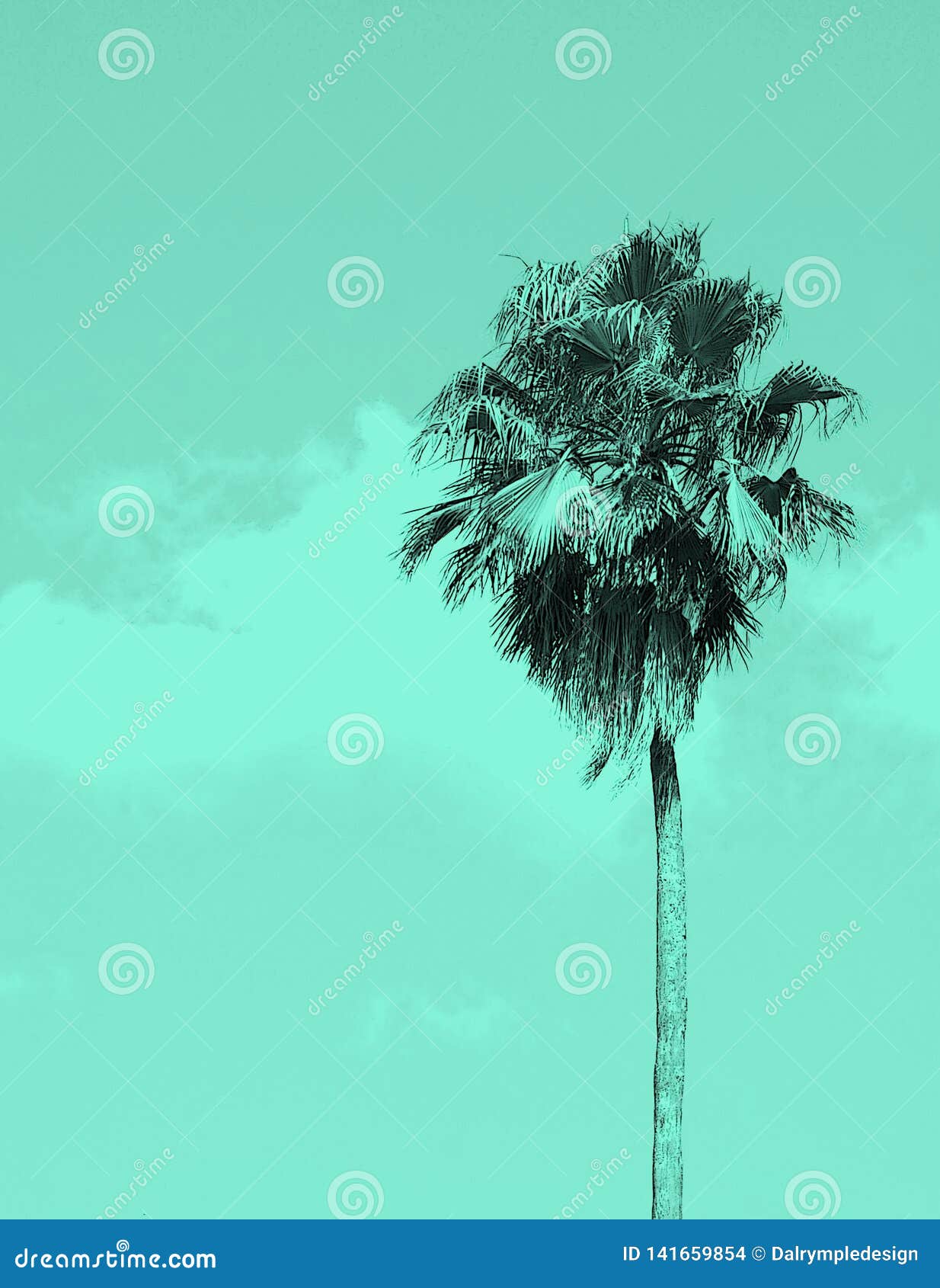 Palm Tree with Blue Background Stock Photo - Image of black, nature ...