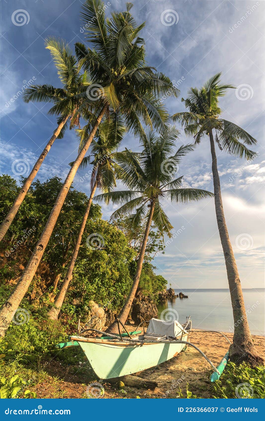 A Palm Tree and Boat in Front of a Body of Water on Cebu Island in ...
