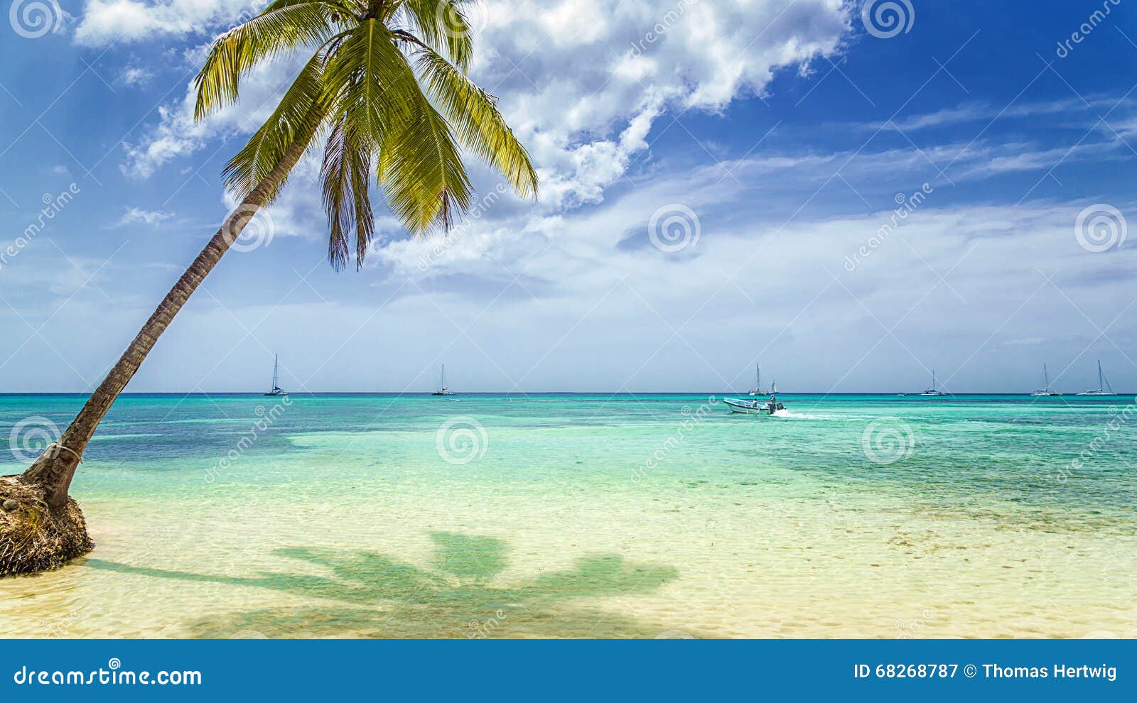 Palm Tree and Boat on Tropical Beach Stock Image - Image of boat ...