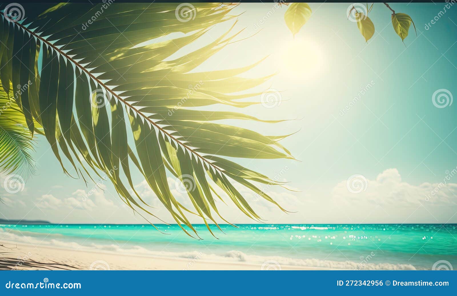 A Palm Tree Branch on a Beach with the Sun in the Background Stock ...