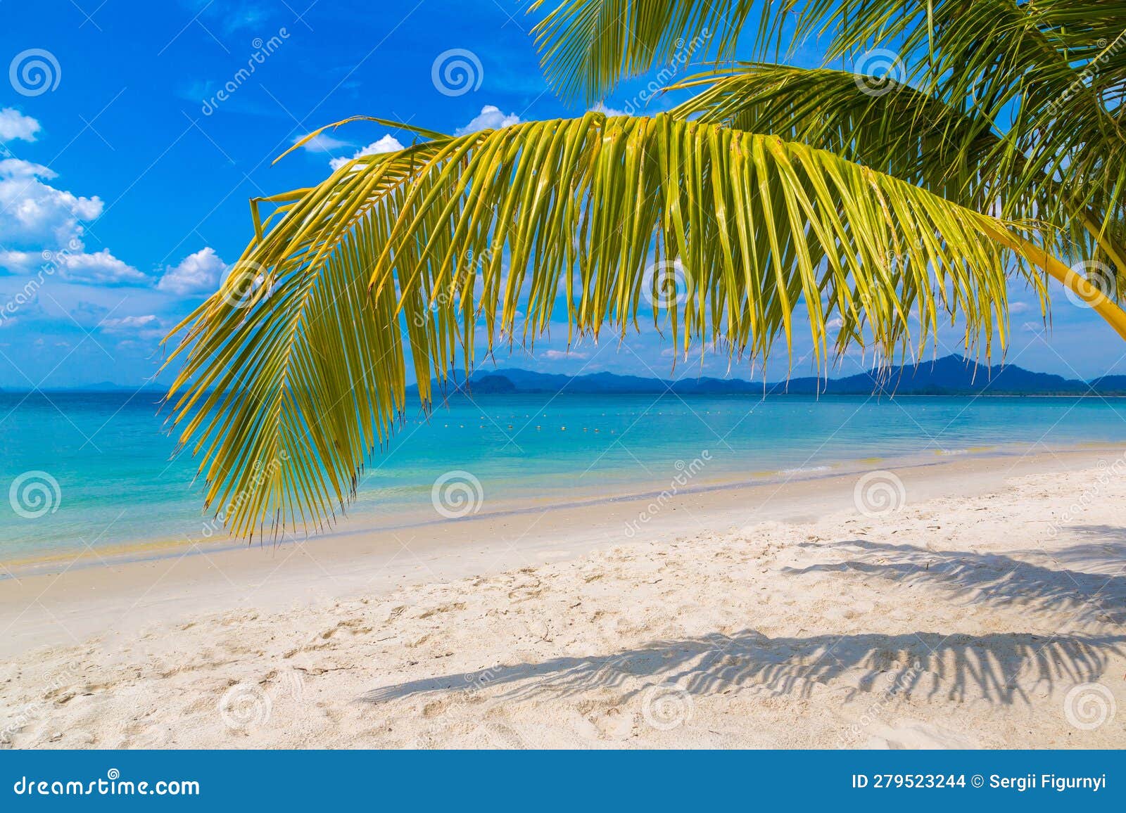 Palm Tree Branch Over Beach Stock Photo - Image of beach, lagoon: 279523244