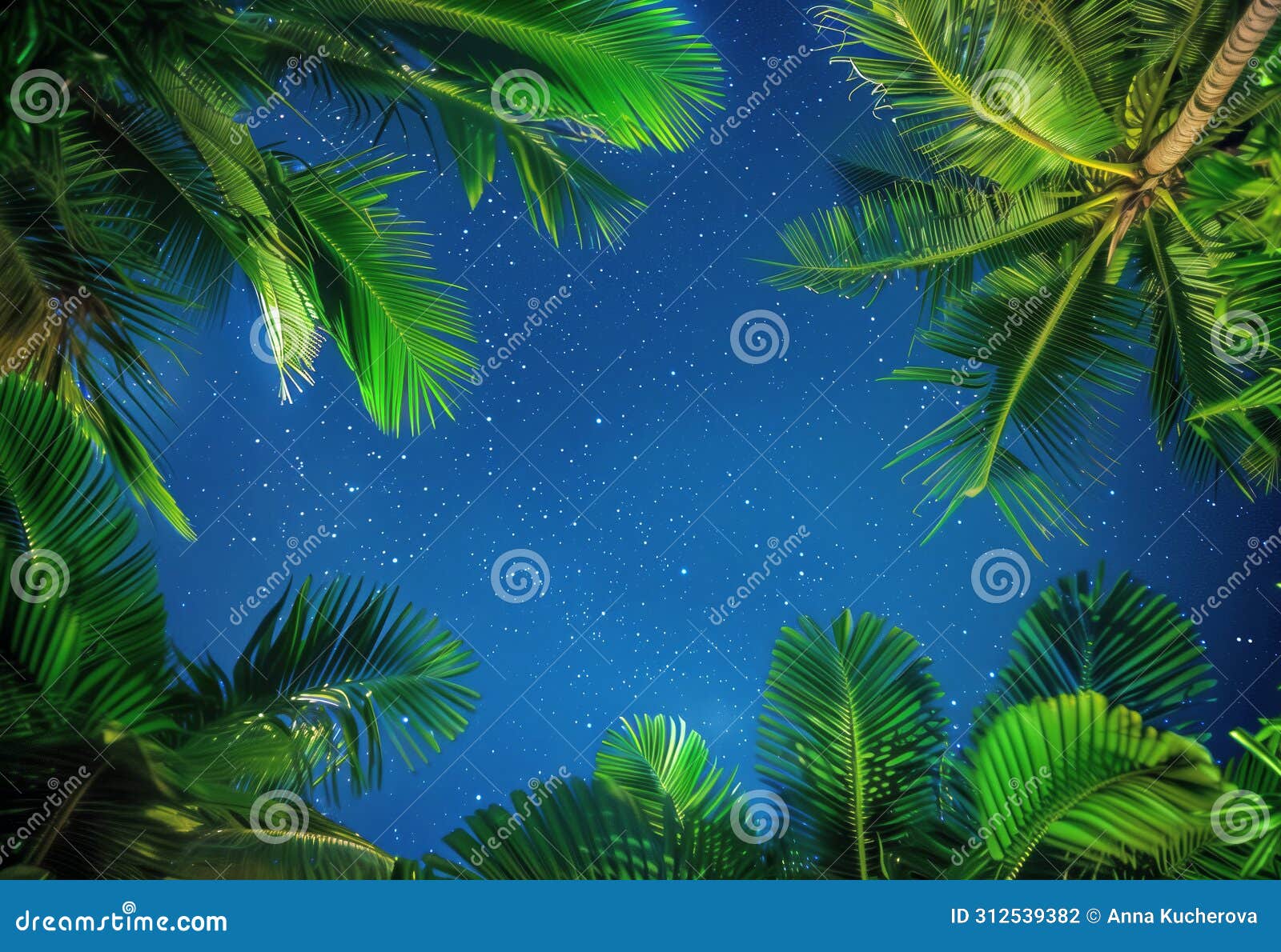 Palm Tree Canopy Under a Clear Night Sky Stock Illustration ...