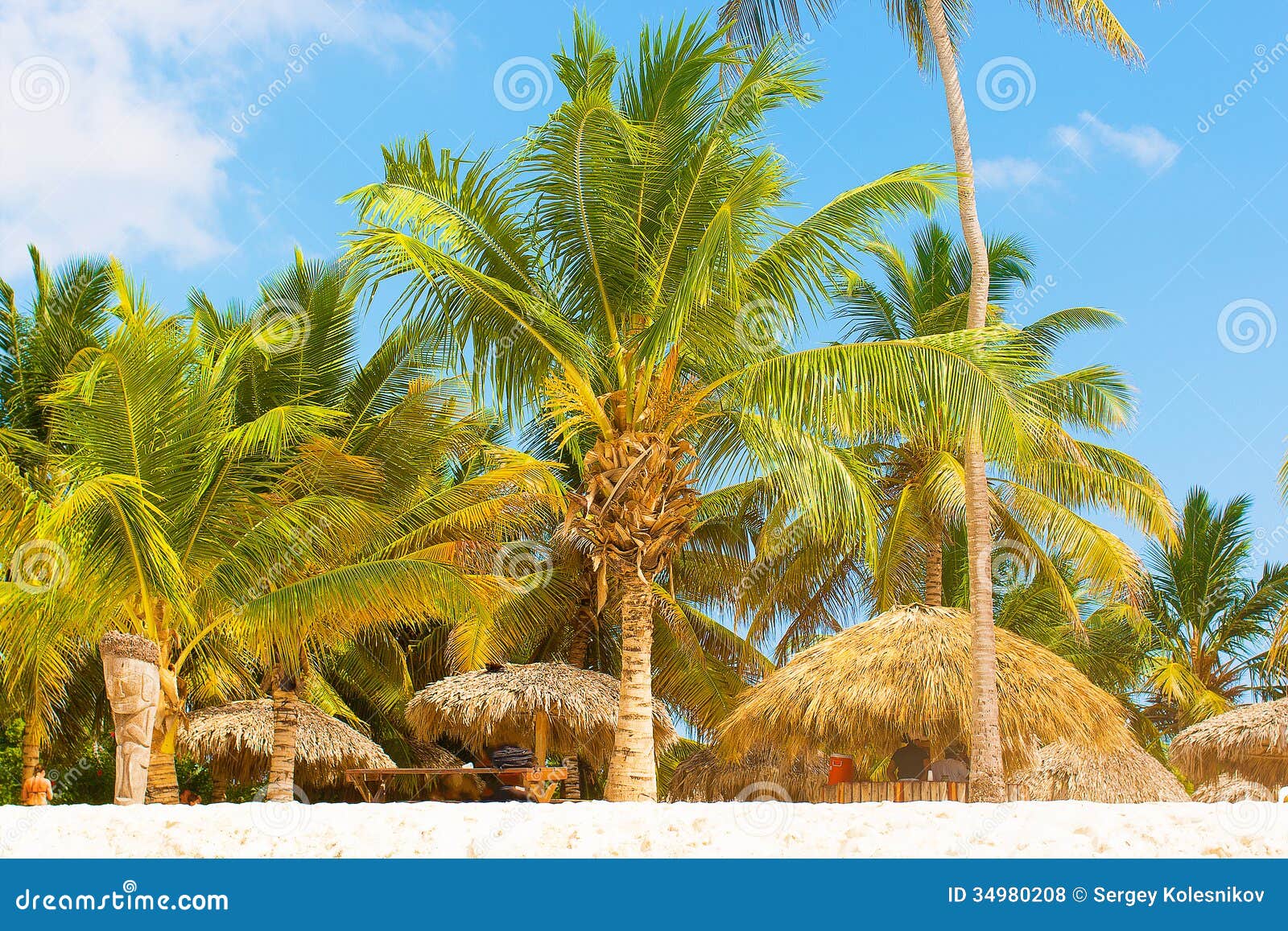 Palm tree in the caribbean stock photo. Image of landscape - 34980208