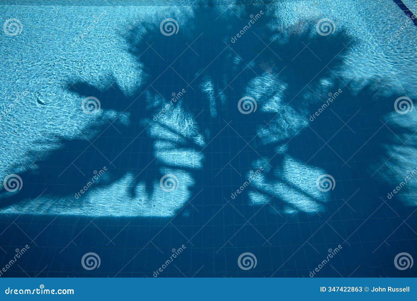 Palm Tree Shadow on Swimming Pool. Stock Image - Image of textured ...
