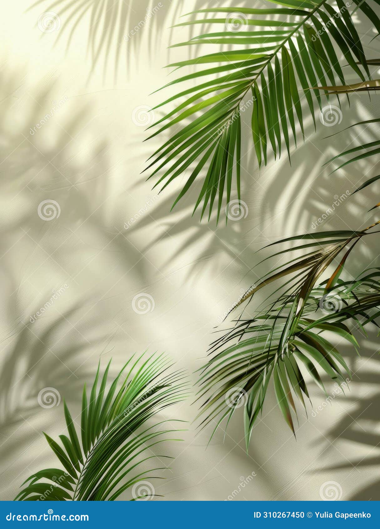 Palm Tree Casting Shadow on Wall Stock Photo - Image of nature, dark ...