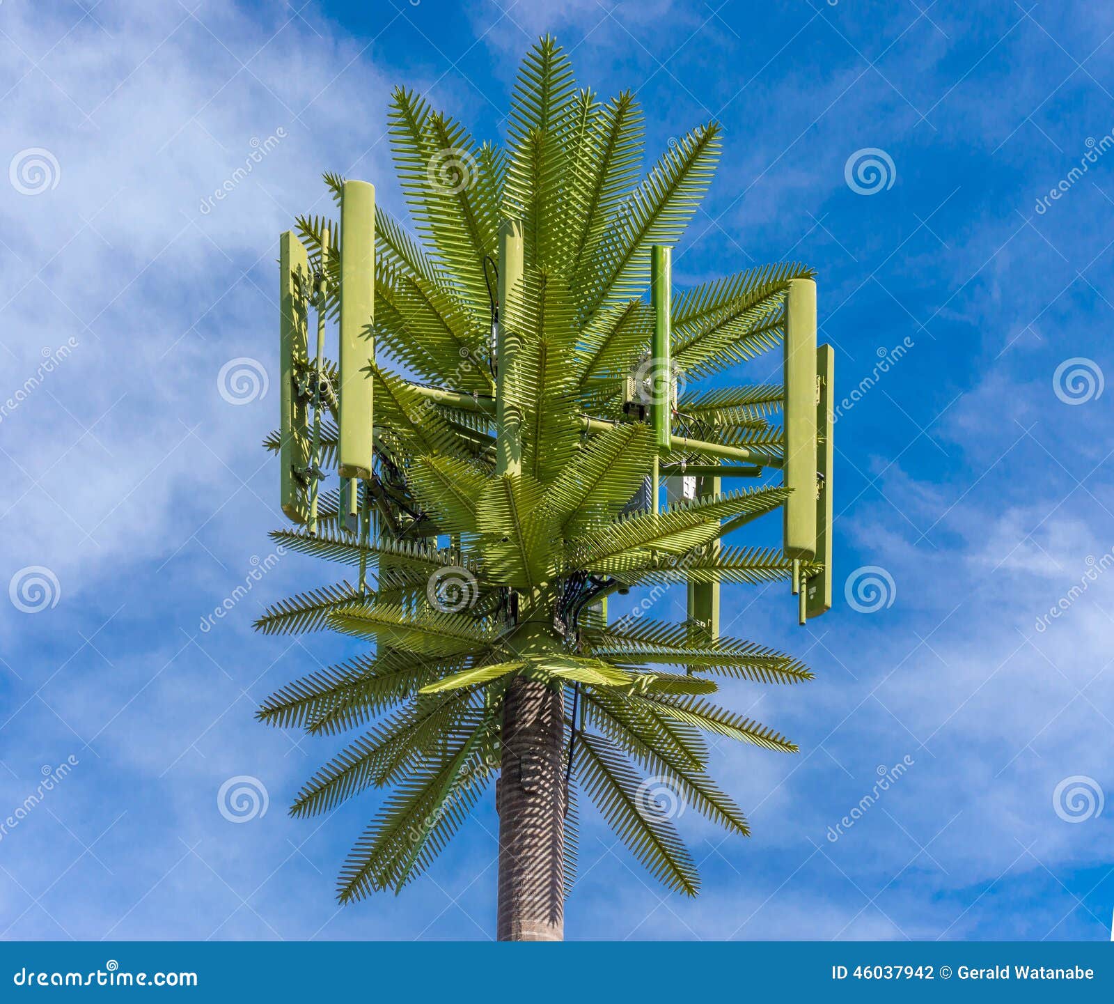 Palm Tree Cell Antenna stock photo. Image of cellphone - 46037942