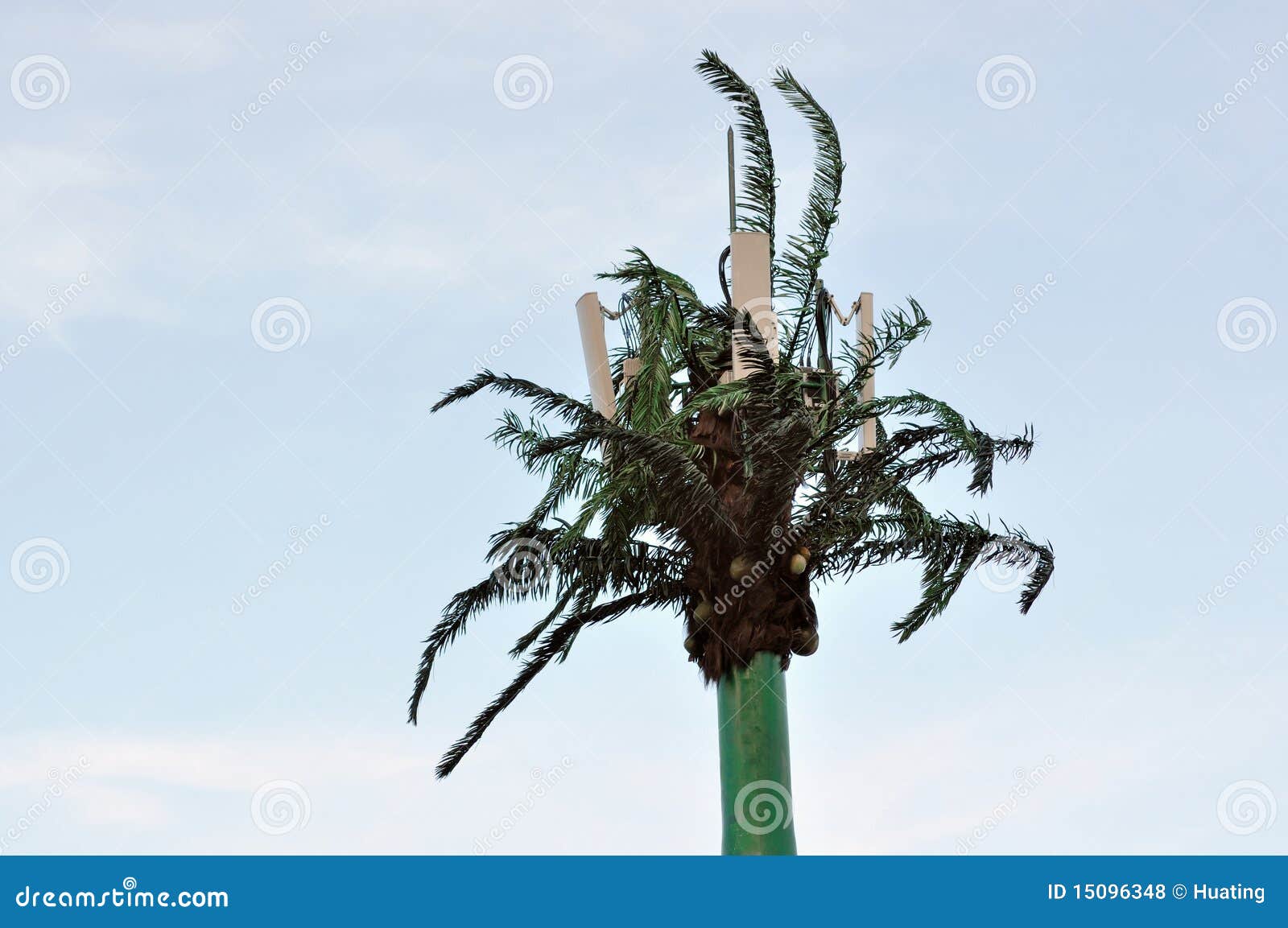 Palm tree cell tower stock photo. Image of telecommunications - 15096348