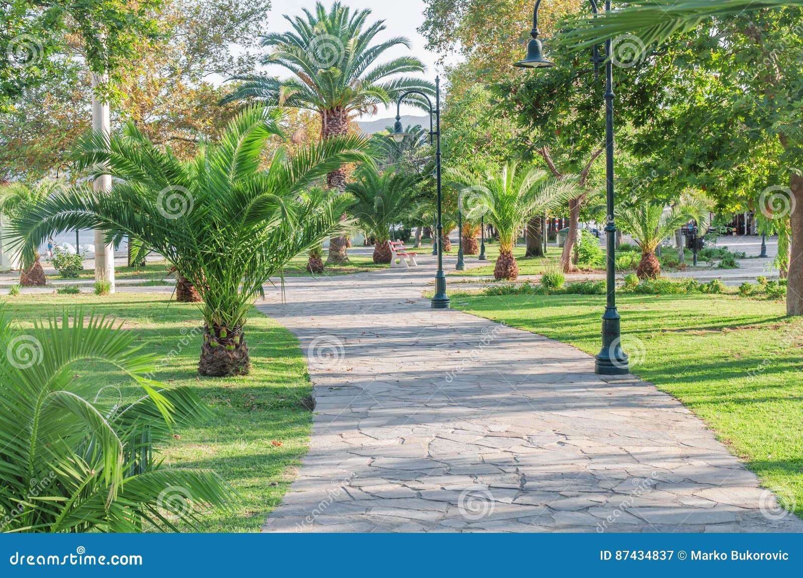 Palm Tree Close with Beach Promenade Background Stock Image - Image of ...