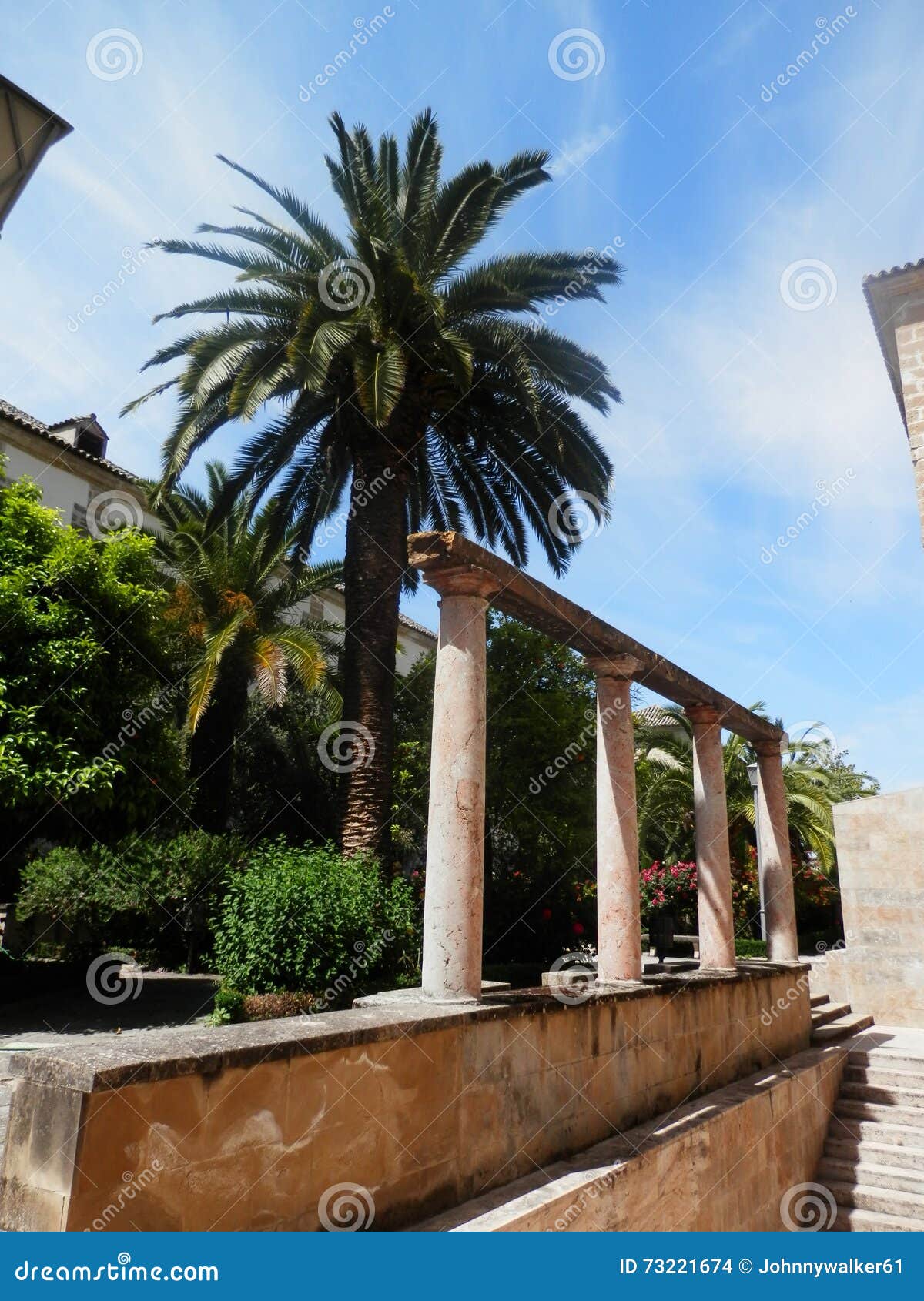 Palm tree and columns stock photo. Image of sunny, architecture - 73221674