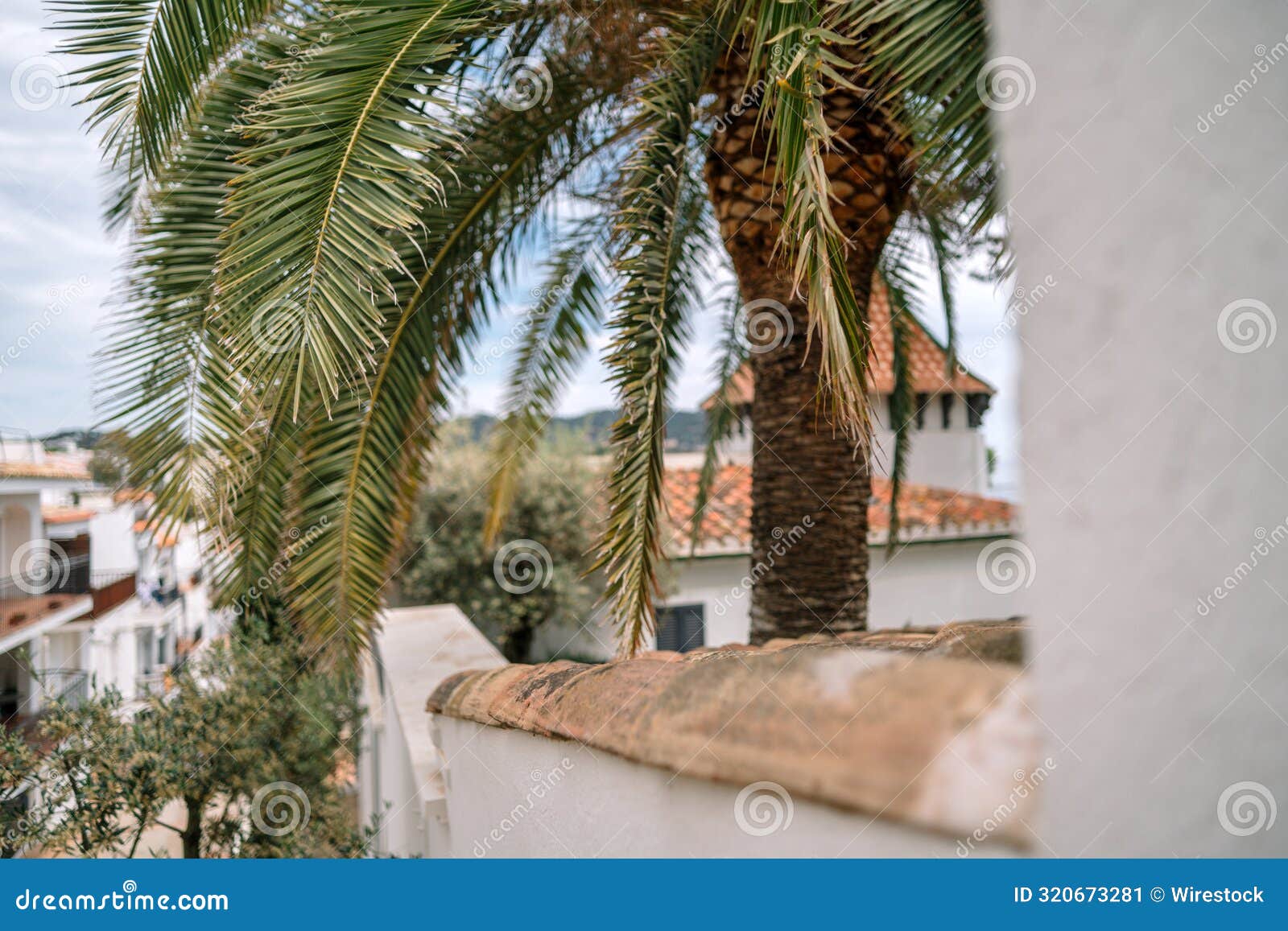 A Palm Tree Sitting in the Corner of a Building with a Balcony Stock ...