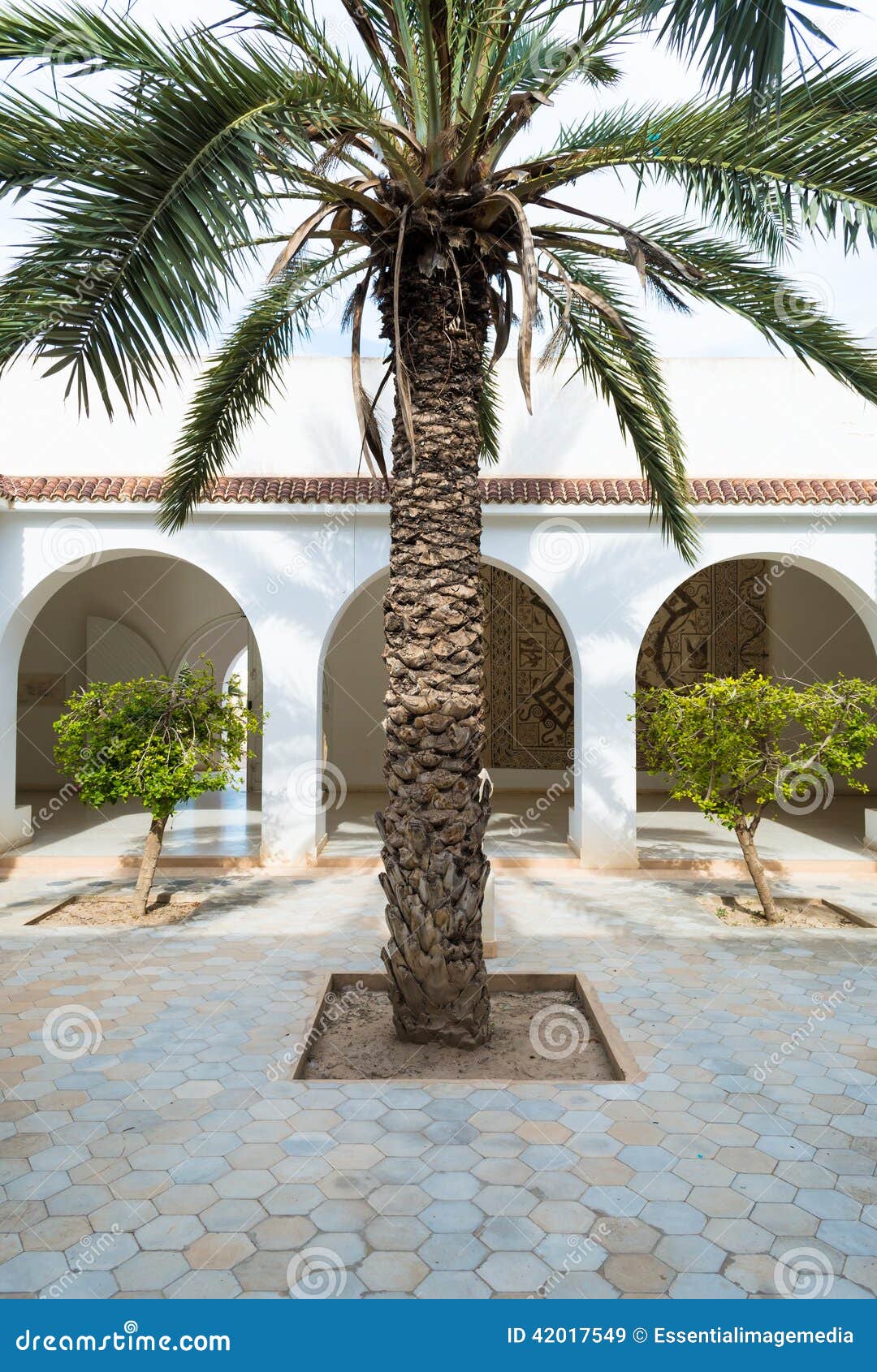 Palm Tree in Courtyard stock image. Image of paradise - 42017549