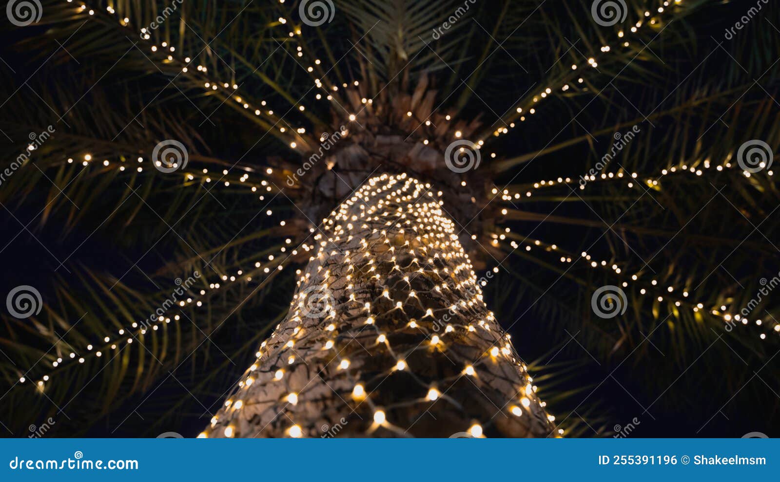 Palm Tree Decorated with Light in during Ramadan Stock Photo - Image of ...