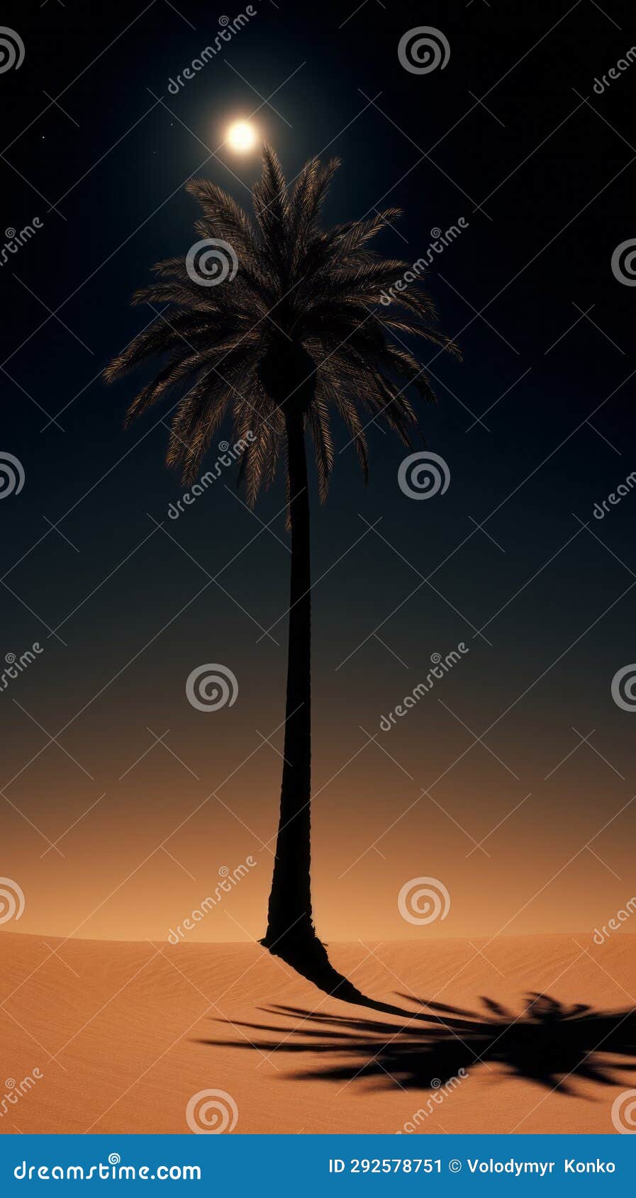 A Palm Tree in the Desert at Night Stock Image - Image of wilderness ...