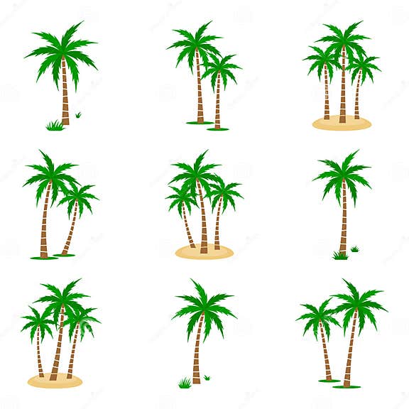 A palm tree vector set. stock vector. Illustration of climate - 140437946
