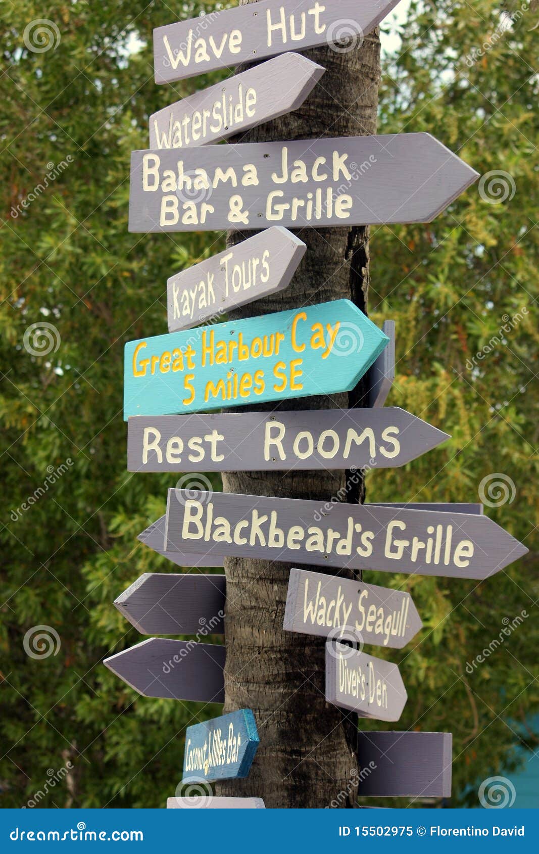 Palm Tree directions stock image. Image of sign, paradise - 15502975