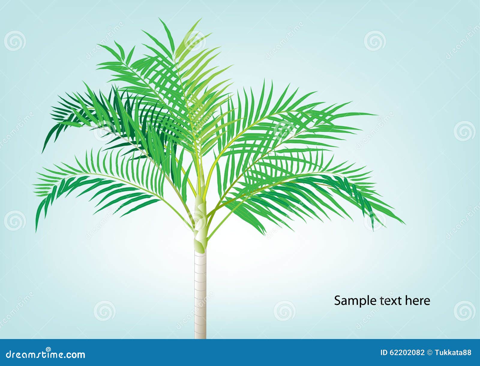 Dwarf Date Palm Tree Cartoon Vector | CartoonDealer.com #168697761