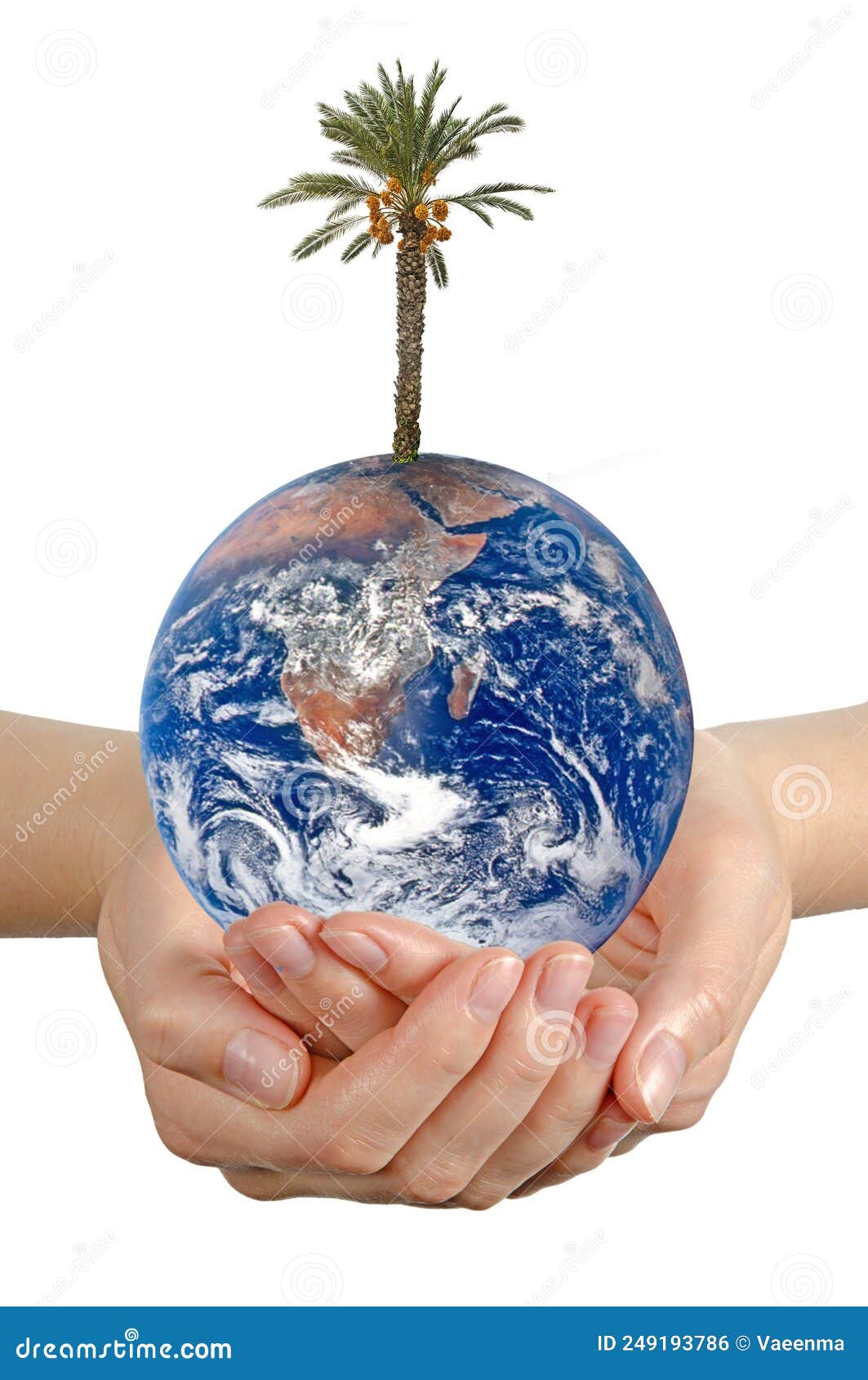 Palm Tree on Earth.Elements of this Image Furnished by NASA Stock Photo ...