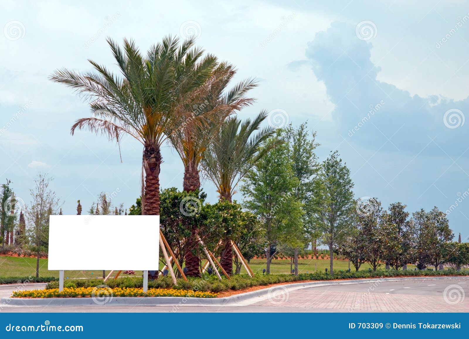 Palm Tree Entrance stock image. Image of billboard, housing - 703309
