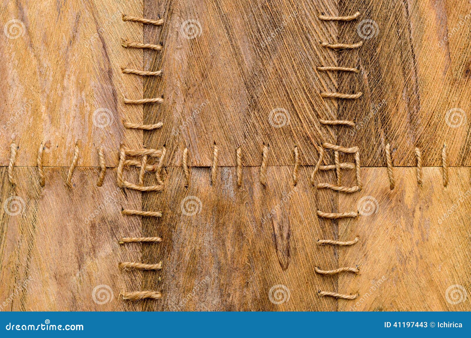 Palm Tree Fiber Bark Texture with Rope Stock Image - Image of tree ...